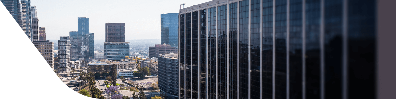 xpd global® | Brasil Home